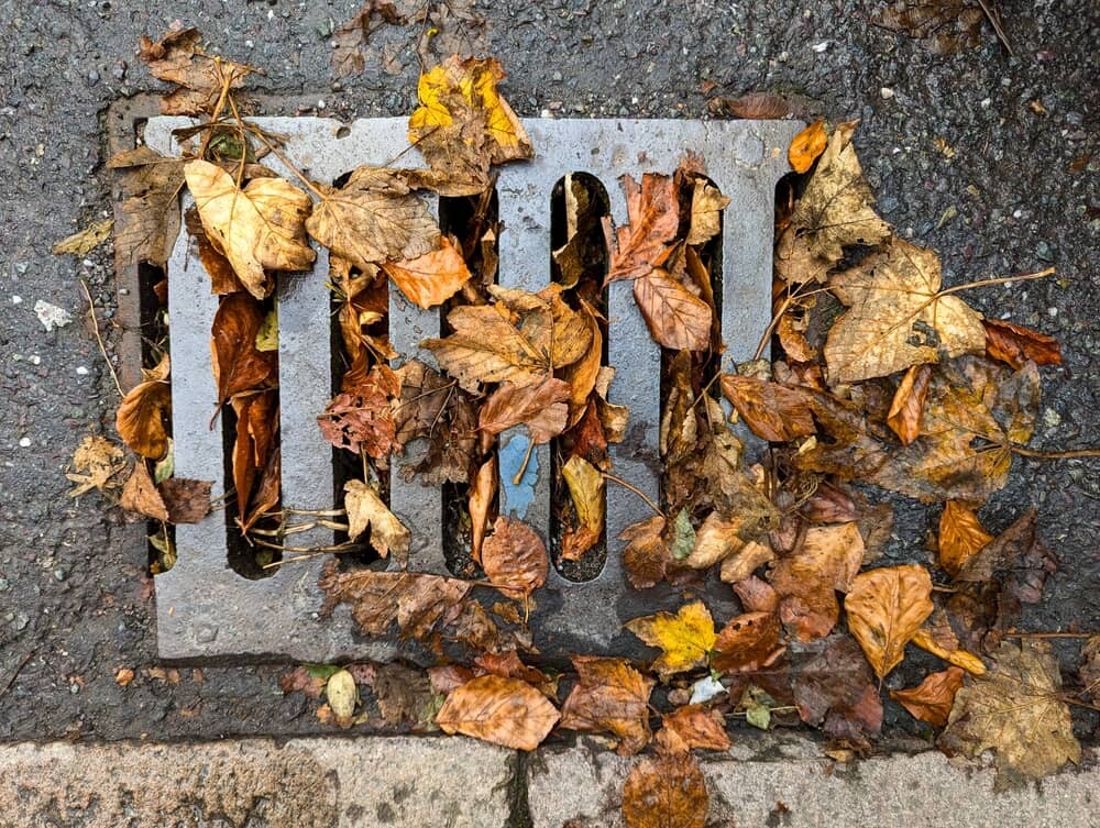 Autumn Leaves Blocking Drains? Cambridge Drainage Solutions